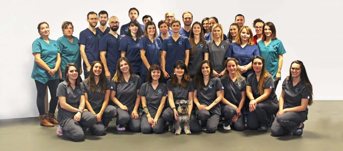 OnlyVet, Centre Hospitalier Vétérinaire à Saint-Priest près de Lyon